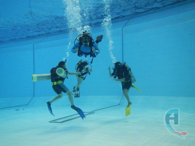 >Práctica del Buceo